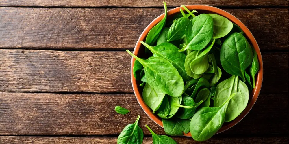 Recettes avec épinards | FoodPal