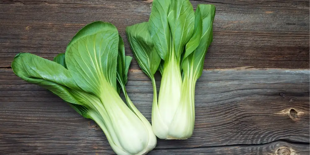 Recetas con col china | FoodPal