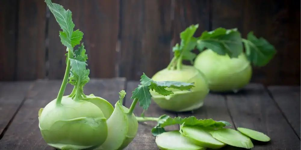 Recettes avec chou-rave | FoodPal