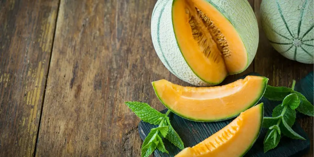 Recetas con melones | FoodPal