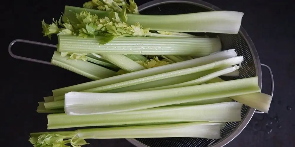 Todo lo que debe saber sobre el apio | FoodPal