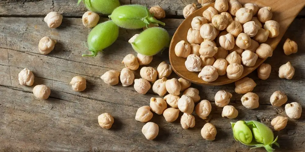 Todo lo que debe saber sobre los garbanzos | FoodPal