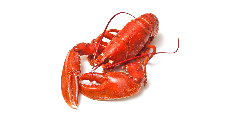 Homard (cru) - Calories & valeurs nutritives | FoodPal