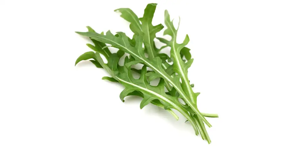 Rúcula (fresca) - Calorías y valores nutricionales | FoodPal