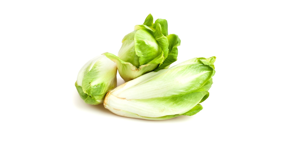 Chicória (fresca) - Calorias e Valores Nutricionais | FoodPal