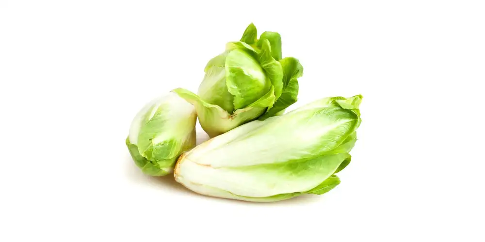 Chicória (fresca) - Calorias e Valores Nutricionais | FoodPal