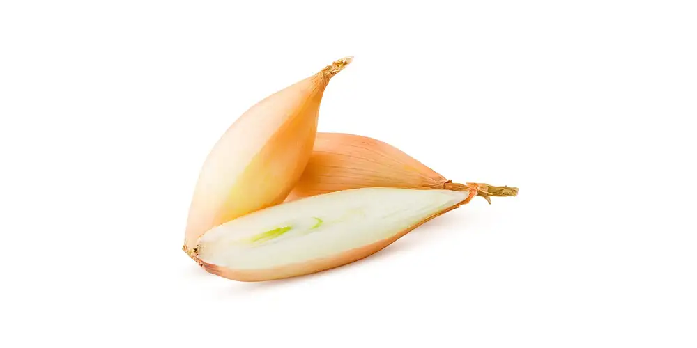 Chalotes (frescos) - Calorías y valores nutricionales | FoodPal