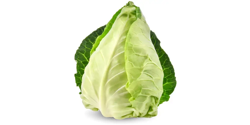 Pointed cabbage, pointed cabbage, filder cabbage (fresh) - Calories ...