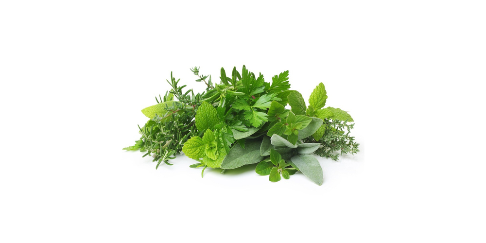 Cilantro (seco) - Calorías y valores nutricionales | FoodPal