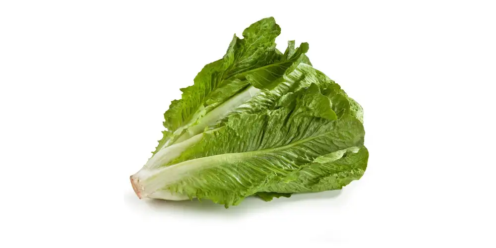Lechuga romana - Calorías y valores nutricionales | FoodPal