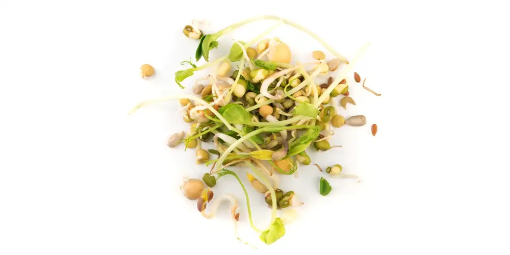 Mezcla de brotes - Calorías y valores nutricionales | FoodPal