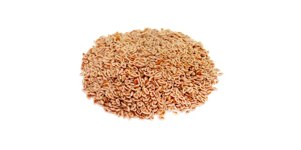 Cáscara de psilio en polvo - Calorías y valores nutricionales | FoodPal