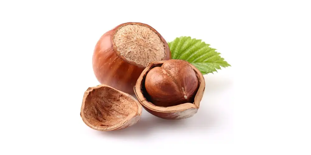 Avelã - Calorias e Valores Nutricionais | FoodPal