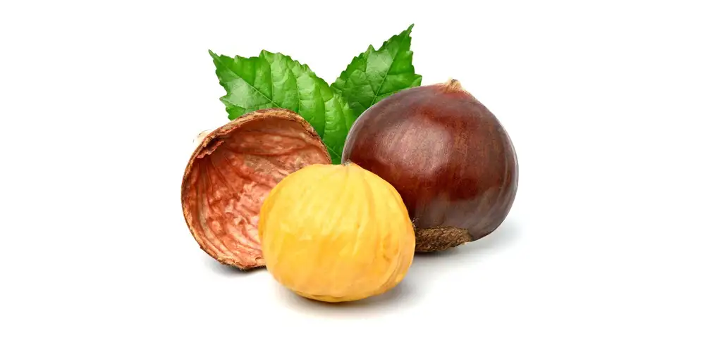 Castañas, castañas, castañas - Calorías y valores nutricionales | FoodPal